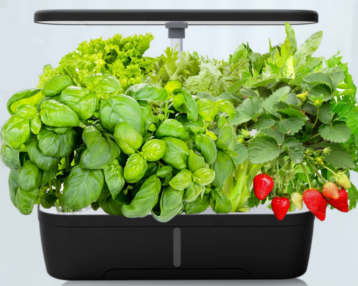 Large Home Hydro Garden Kit – Hydro Gardens